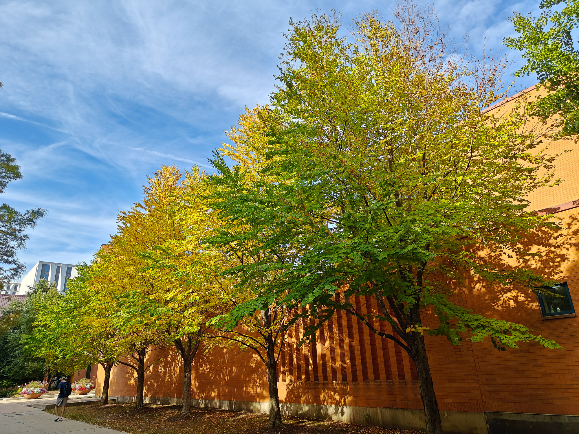 Tailored HVAC-R Solutions for Education